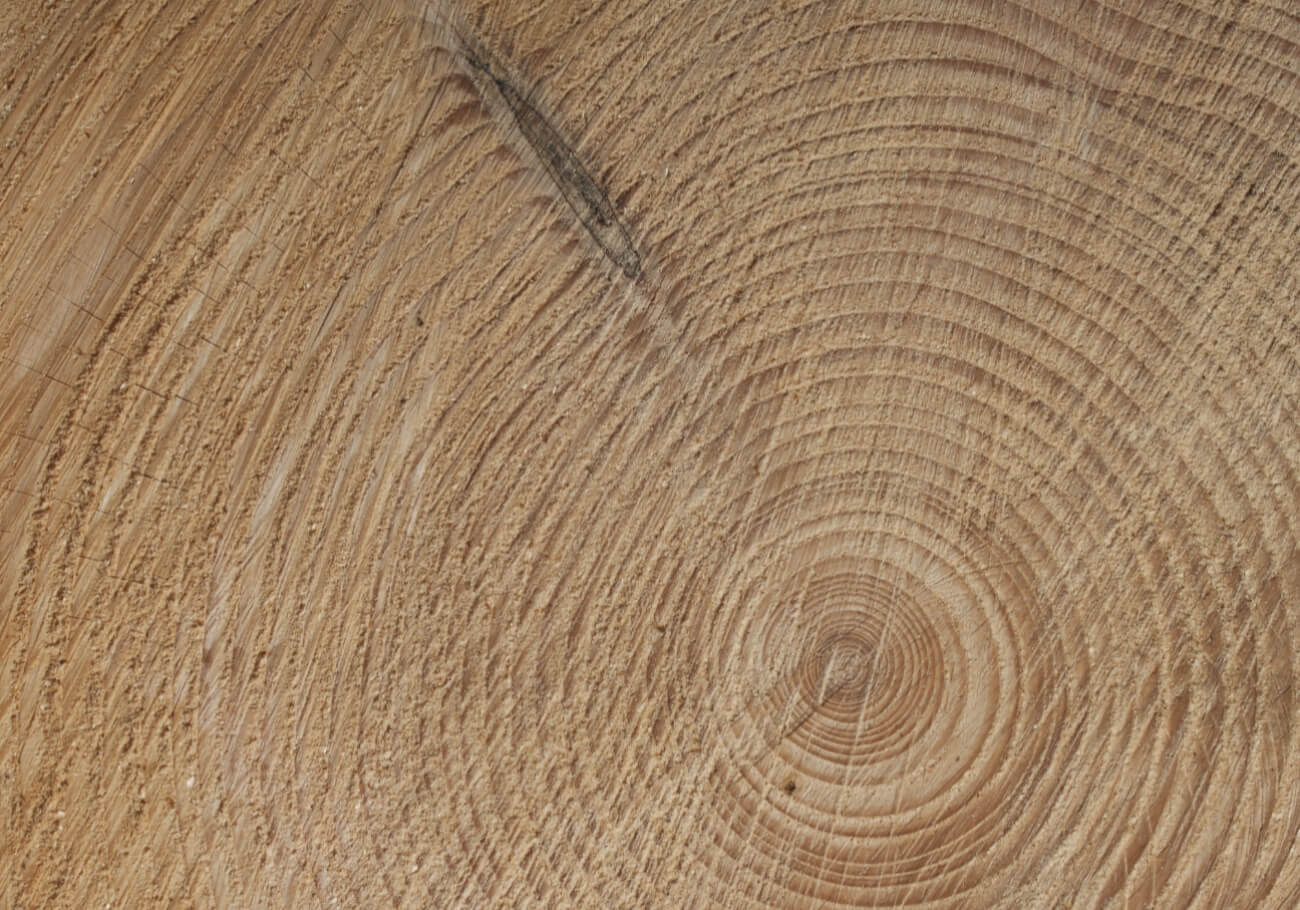 Houten voordeuren » solide kwaliteit | PIRNAR